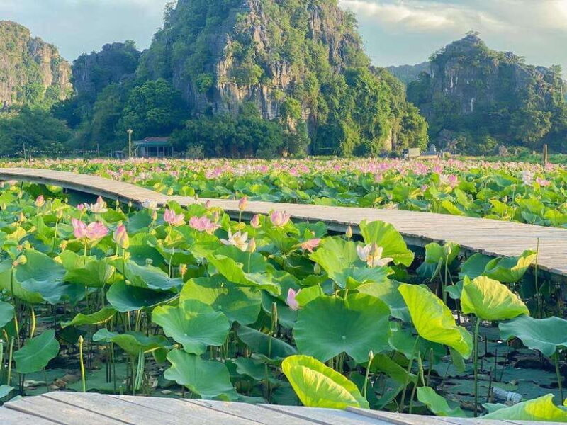 Ninh Binh Full-Day Tour from Hanoi w VIP Limousine - Practical Tips and Considerations