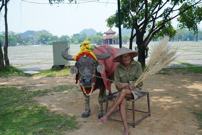 Ninh Binh One Day Trips- from Hanoi - The Sum Up