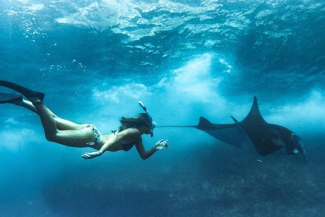 Nusa Penida West trip with snorkeling at 3 spot with Free Meals - The Sum Up
