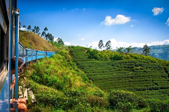 Nuwara Eliya from Kandy by Train - How Well Does it Stack Up?
