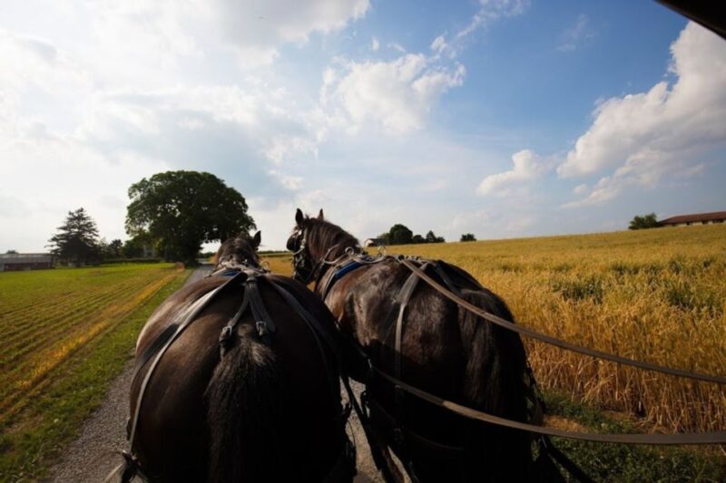 NYC: Niagara Falls, Philadelphia, Washington DC 4-Day Tour - Who Should Consider This Tour?