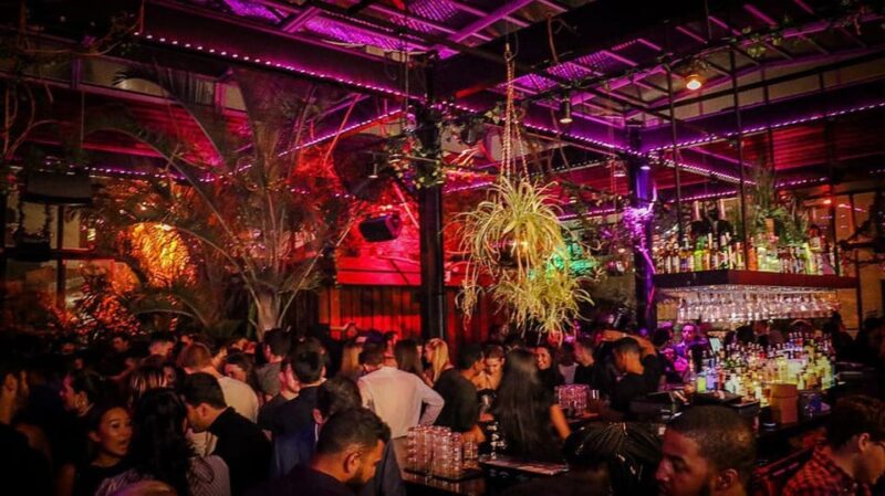 NYC West Village Pub Crawl Experience - Authentic Reviews and What They Say