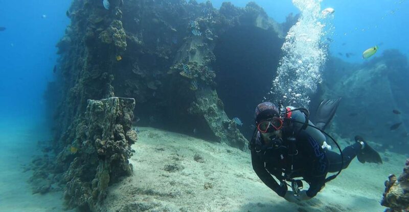 Oahu: Beginner SCUBA Dive at Electric Beach - The Itinerary in Detail