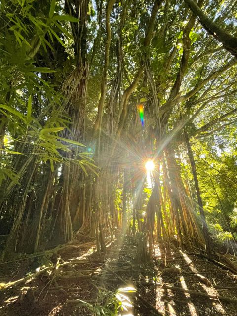 Oahu: Hidden Hawaii Waterfall Hike and Beach Tour - The Itinerary in Detail