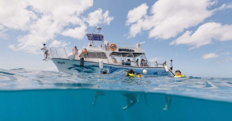 Oahu: Turtle Canyon Snorkeling & Hula Dance - Cultural Touches and Entertainment