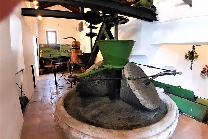 Ojen private walking tour by Tours in Malaga - Authentic Experiences and Hidden Gems
