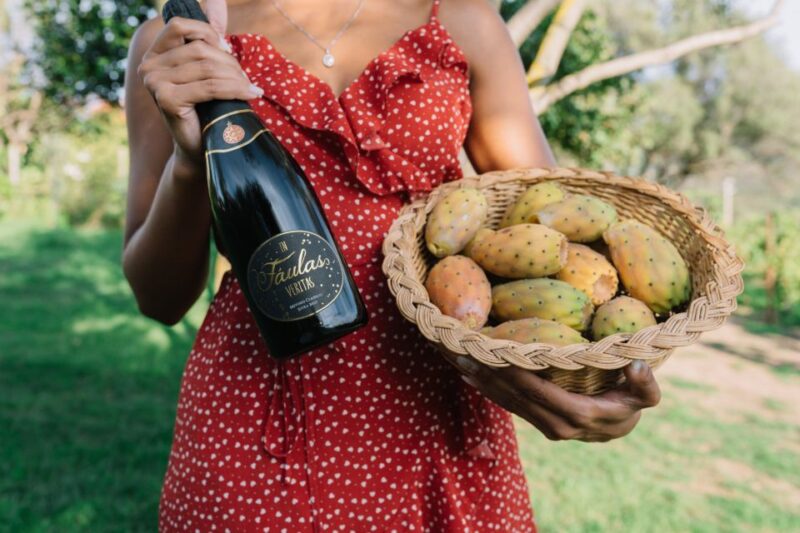 Olbia: Gallura Winery Guided Tour with Tasting - The Authenticity and Experience Quality