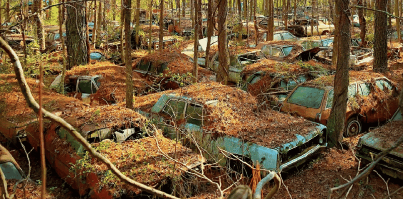 Old Car City USA Entry Ticket - The Practicalities and What to Know Before You Go