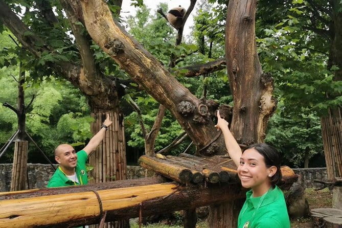 One Day Trip to Chengdu Panda Base and Leshan Buddha Tour - Who Should Consider This Tour?