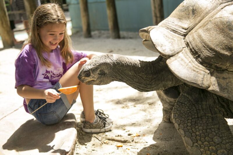 Orlando: Gatorland Skip-the-Line Ticket - What to Expect During Your Visit