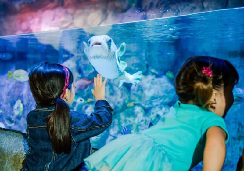Orlando: SEA LIFE Orlando Aquarium - The Cost and Its Value