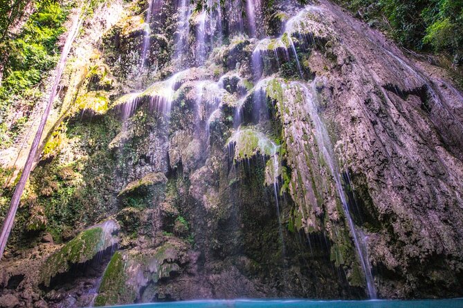 Oslob Whale Shark Group Tour with Sumilon Island & Tumalog Falls - Frequently Asked Questions