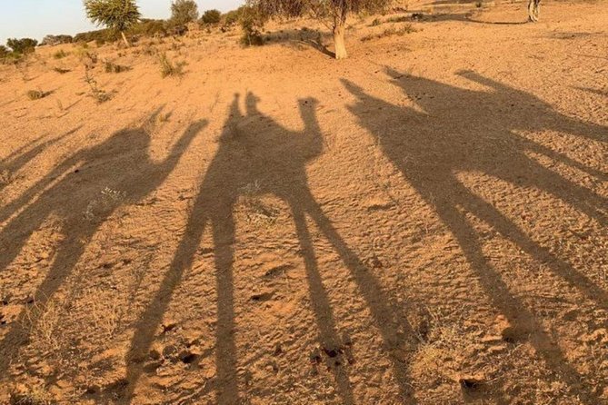 Overnight Camping With Camel Safari In Jodhpur - FAQs