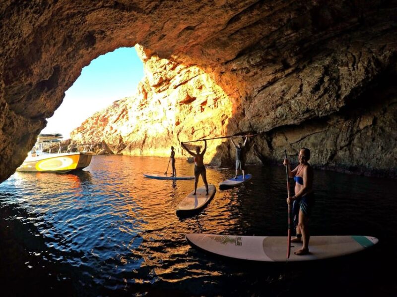 Paddle surf course - Analyzing the Value