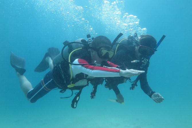 PADI advanced open water course - Final Thoughts: Is This Course Worth It?