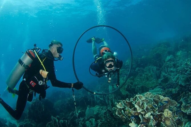 Padi Advanced open Water Diver Courses (Start at Ko Kut) - Who Will Love This Tour?