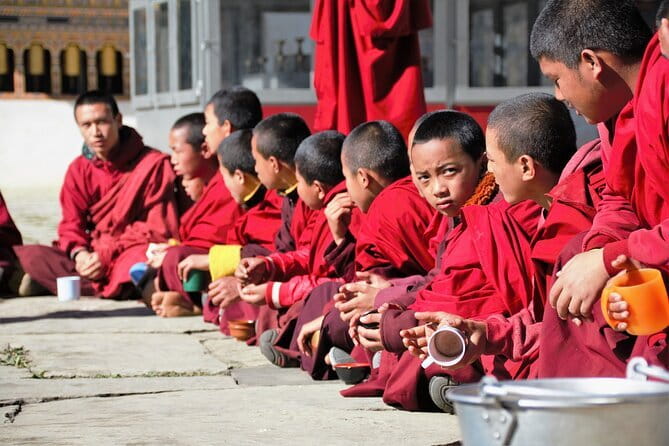 Palampur's Guided Day Tour: Discover the Tea Capital. - Practical Details and Value