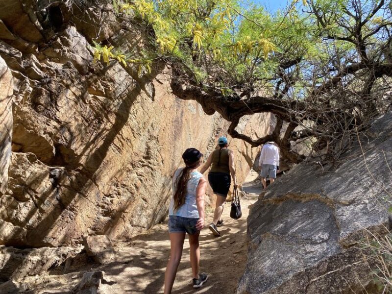 Palm Springs: Indian Canyons Jeep/Hiking Combo Tour - Practical Details: What You Need to Know