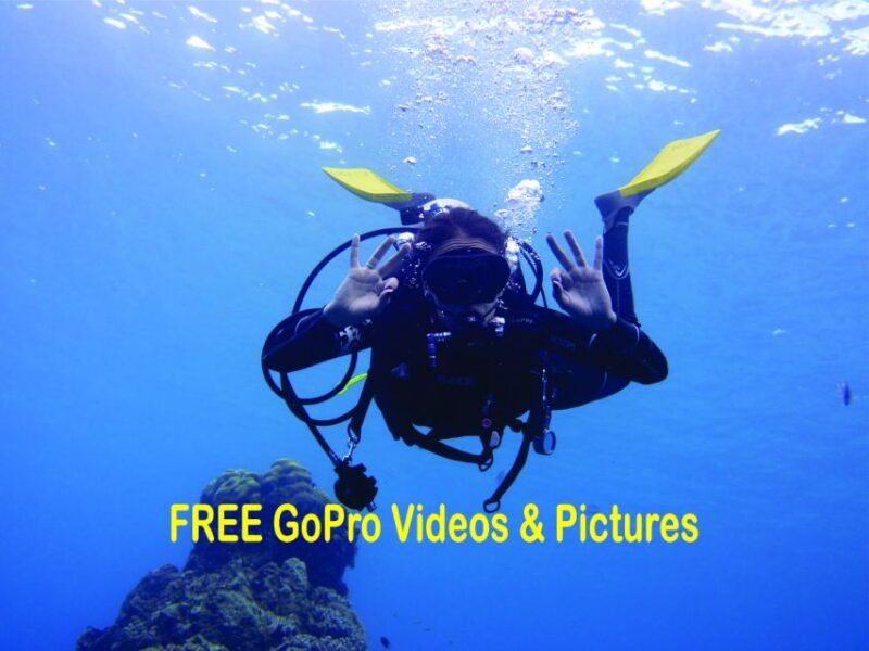 Panama City Beach: Beginners Scuba Diving Tour - Who Will Love This Tour?