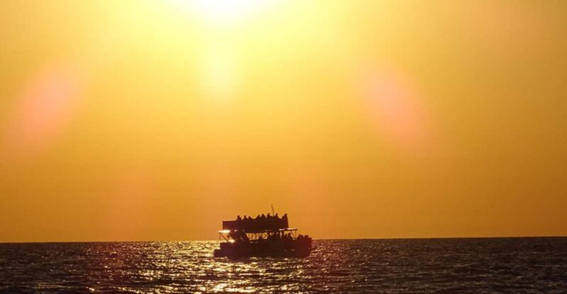 Panama City: Sunset Dolphin Cruise in St. Andrews Bay - The Magic of Sunset and Scenic Beauty
