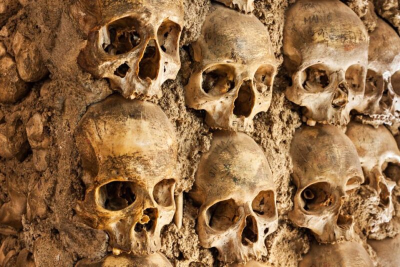 Paris: Catacombs Ticket and Seine River Cruise - Practical Tips for a Smooth Experience