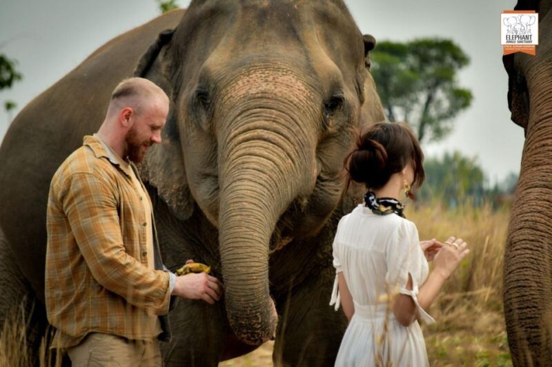 Pattaya: Elephant Jungle Sanctuary Feeding Experience - FAQ