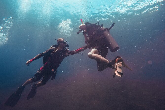 Pattaya PADI Scuba Diving Two Exciting Try Dives with PADI Instructor in Pattaya - Who Should Consider This Tour?