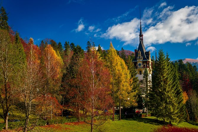 Peles Royal Castle & Wine Tasting - 9 hours - The Sum Up