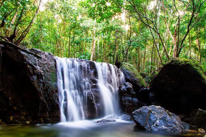 Phu Quoc Discover South And North Together_Private tour - Final Thoughts: Who Will Love This Tour?