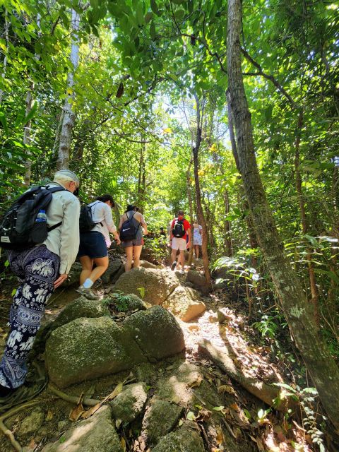 Phuket Lookouts Tour with Lunch at Organic Farm - Practical Aspects and Value