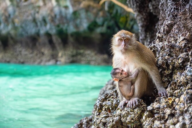 Phuket: Wow Andaman Snorkeling Trip to Phi Phi & Bamboo Islands - Practical Tips for Making the Most of Your Trip