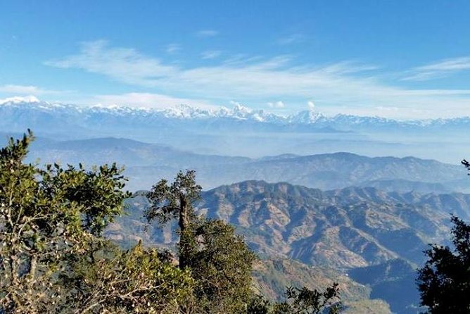 Phulchoki bird-watching tour - Who Will Love This Tour?