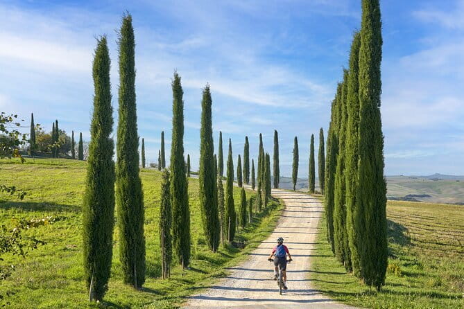 Pisa, Siena and San Gimignano Day Trip with Lunch & Wine Pairing - Authentic Experiences and Practical Tips