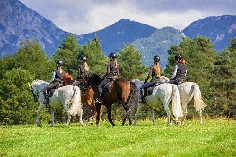 Pokhara: Horseback Riding Adventure with Hotel Pickup - The Good and the Not-So-Good