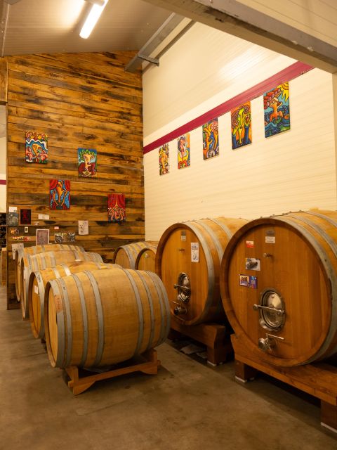 Predappio wine experience: Wine Tasting and Vineyard Tour - The Sum Up