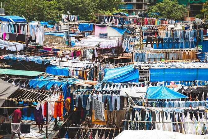Premium Mumbai Sightseeing Tour - Who Will Love This Tour?
