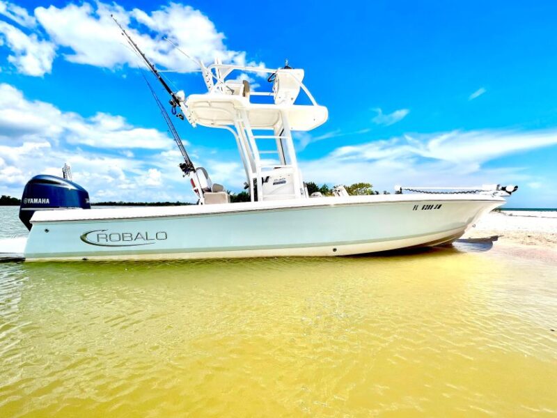 Private 2 Hour Dolphin & Eco Tour Marco Island, FL - The Value of a Private Tour