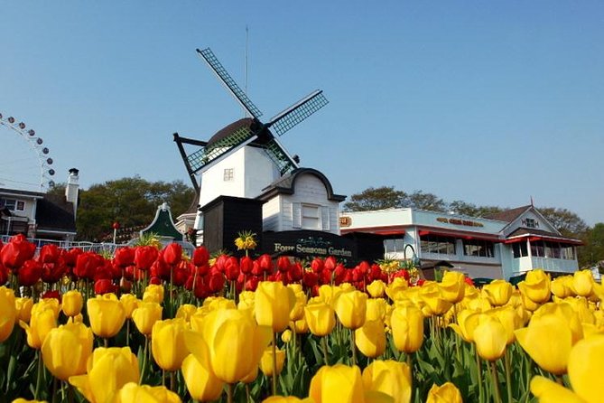 Private 4 days Nami Island&Petite France&Seoul&Everland tour - Day Three: Pure Family Fun at Everland