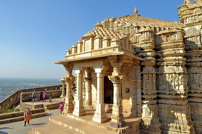 Private 7 Day Tour of Udaipur Chittorgarh Pushkar and Jaipur - Final Thoughts: Who Should Consider This Tour?