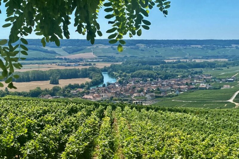 Private Champagne Ruinart, Moet Chandon VIP Tour by Mercedes - Final Thoughts