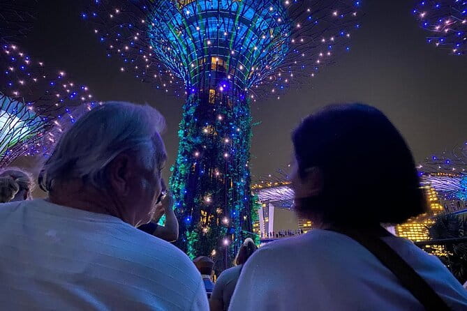 Private City Car Tour Singapore (4 Hours or 8 Hours) - Who Is This Tour For?