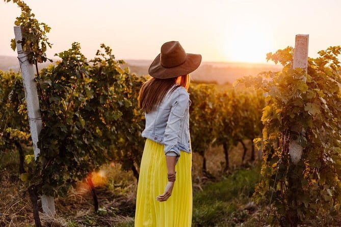 Private Classic Wine Tour in Chianti from Florence - The Sum Up
