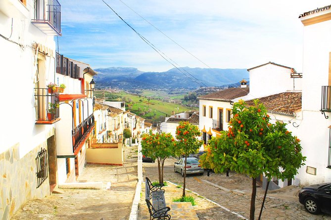 *Private Day Trip* Ronda and Setenil de las Bodegas from Jerez - Analyzing the Value and Practicalities