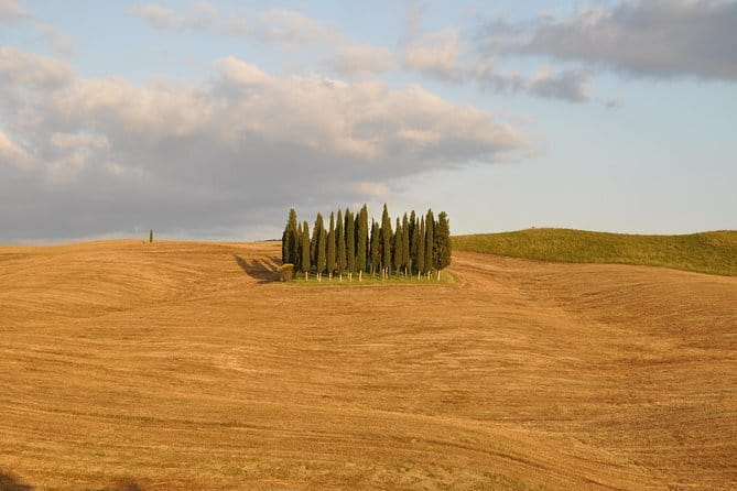 Private Day Trip to Montalcino and Montepulciano from Florence - Final Thoughts