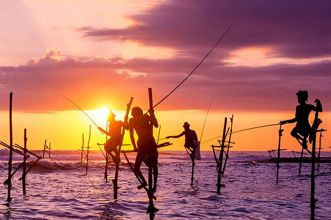 Private Day Trip to Yala National Park from Colombo - Who Should Consider This Tour?