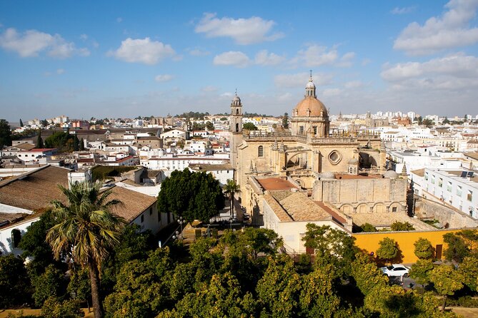 Private excursion to Jerez de la Frontera with Equestrian Show from Cadiz - The Bottom Line: Who Will Appreciate This Tour?