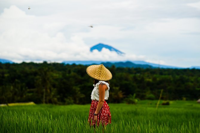 Private Full-Day Bali Tour - Who Should Consider This Tour