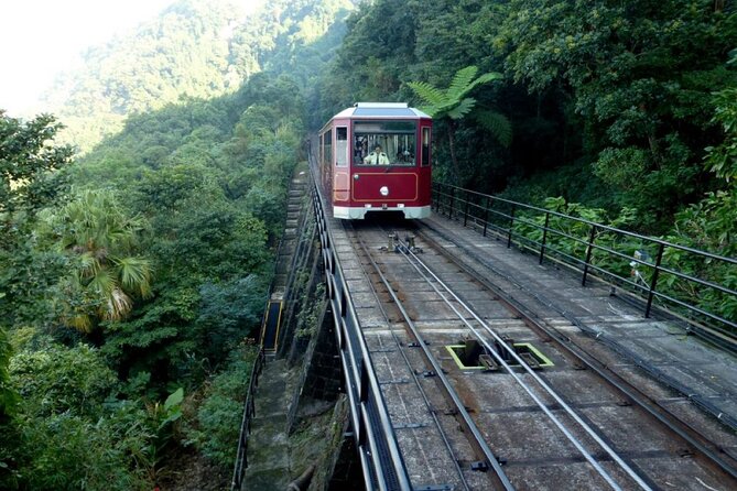 Private Full-Day Hong Kong Island Top Attraction Tour - The Practical Side: Transportation, Timing, and Cost