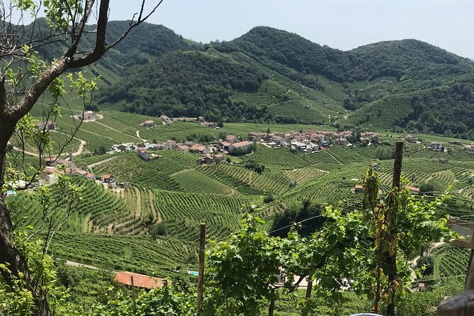 Private Full-Day Prosecco Wine Tour from Venice - The Guides and Personal Touch