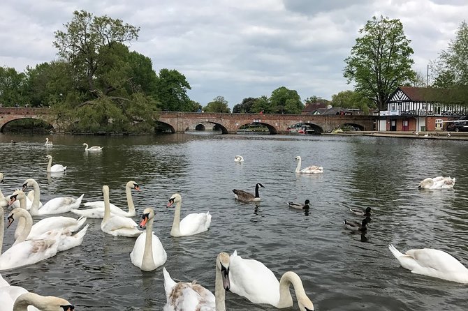 Private Full-Day Tour of Shakespeare's Stratford-Upon-Avon - Who Should Consider This Tour?